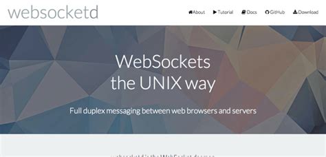 Websocket详解：双向通信与服务器推送的革命 Csdn博客