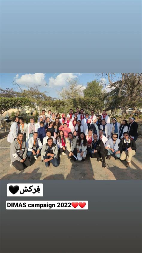 nadeen hazem posted on linkedin