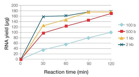 Mrna Synthesis Scale Up Tips Thermo Fisher Scientific Au