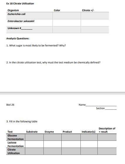 Solved Ex 18 Citrate UtilizationAnalysis Questions What Chegg Com