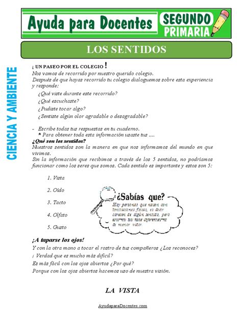 Fichas De Los Sentidos Para Segundo De Primaria Pdf Oído Gusto