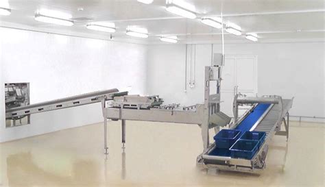 Panier De Transport Pour Poussins Innovatec Hatchery Automation