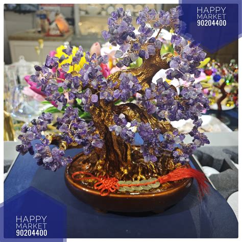 𝐇𝐀𝐏𝐏𝐘 𝐌𝐀𝐑𝐊𝐄𝐓 𝟗𝟎𝟐𝟎𝟒𝟒𝟎𝟎 Мөнгөний мод 168 800₮ Өндөр 35 36см Энэхүү мөнгөний мод нь таны мөнгөний