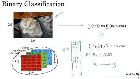 和我一起搭建神经网络——利用logistics回归实现猫的识别 简述利用逻辑回归网络实现猫的照片识别的程序流程 csdn博客