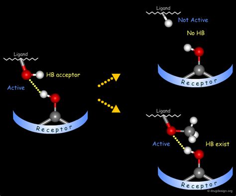 Structure Activity Relationships Drug Design Org