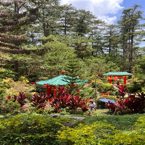 Botanical Garden In Baguio City | Fasci Garden