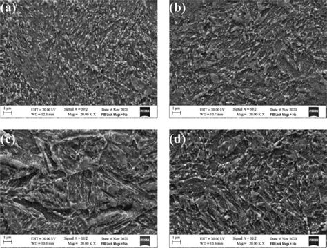 The Tempered Microstructure Of The Two Steels By Sem At 600°c For