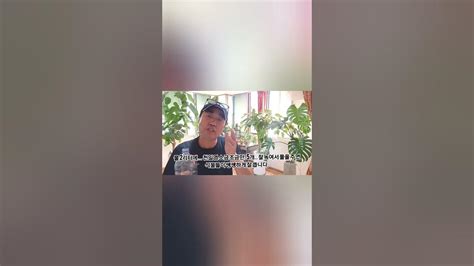 무더운 여름 화초에 이걸 넣어 물을 주면 벌레도 없고 식물이 병들지 않고 쌩쌩하게 잘 자라요 Youtube