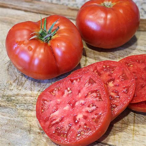 Hybrid Tomato Beefmaster Vf