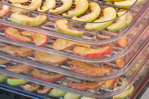 5 Ways Troubleshoot Fix Food Dehydrator Timer Not Working Issue Miss Vickie