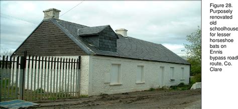 Figure 4 From Bat Mitigation Guidelines For Ireland Semantic Scholar