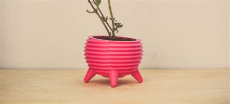3d printing projects every beginner should try