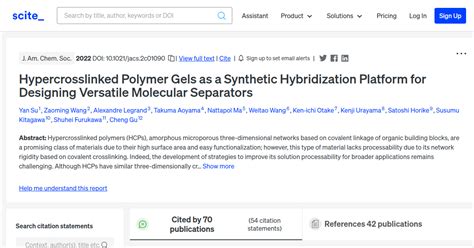 Hypercrosslinked Polymer Gels As A Synthetic Hybridization Platform For