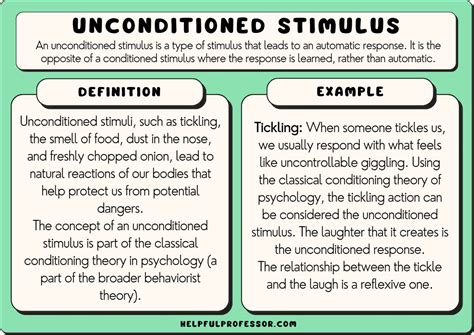 Stimulus Response Brain