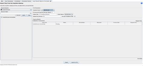 Base64 Export Capstorm Learning Center