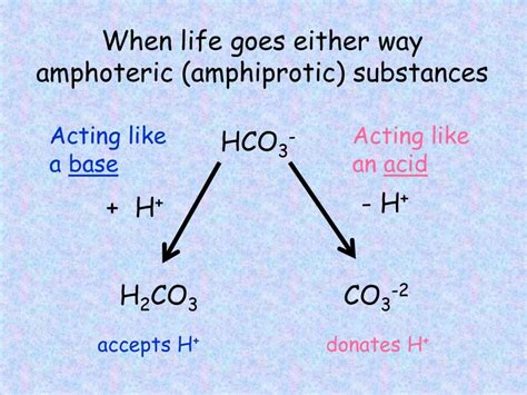 Basics Of Acid And Base PowerPoint Slides LearnPick India