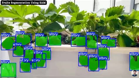 Video Muhammad Rizwan Munawar On Linkedin Computervision