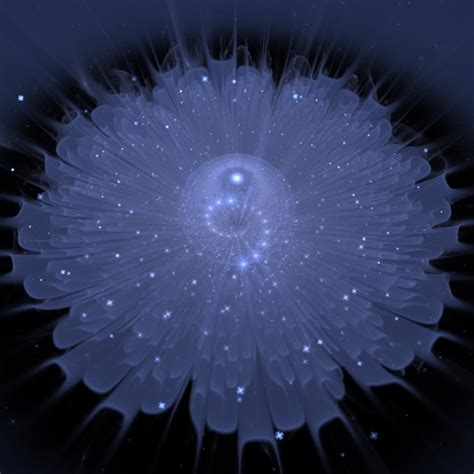 세상에서 가장 아름다운꽃 예쁜꽃 희귀한 꽃 10가지 네이버 블로그