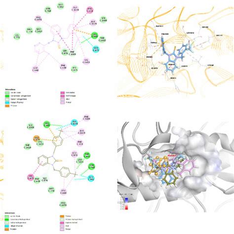 3 D And 2 D Docking Poses And Superimposed Interactions Of Compounds