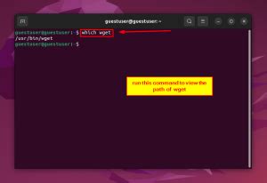 Quick Ways To Fix The Wget Command Not Found Error