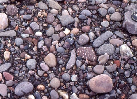 Sedimentary Rocks Examples