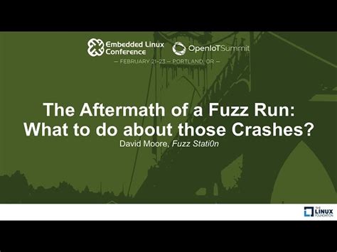Conference Talks Talk The Aftermath Of A Fuzz Run What To Do About