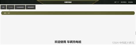 车辆充电桩 基于springboot＋vue的车辆充电桩管理系统的设计与实现 源码 数据库 文档 vue3项目有关自行车充电桩的项目页面跟