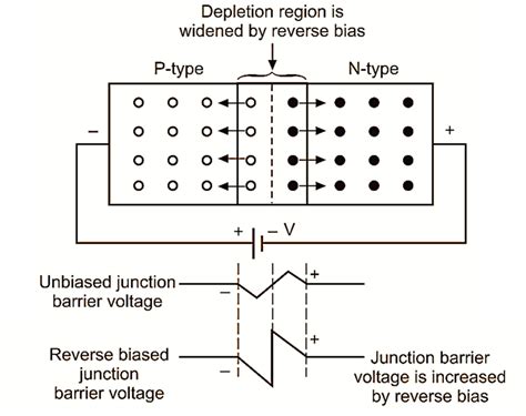 What Is Reverse Bias Of Pn Junction Diode Electrical And Electronics Blog