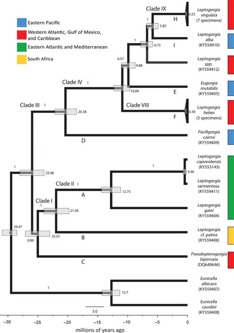 Fossil‐calibrated Phylogenetic Reconstruction Using Bayesian Methods Download Scientific