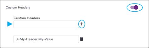 Custom Headers Acunetix