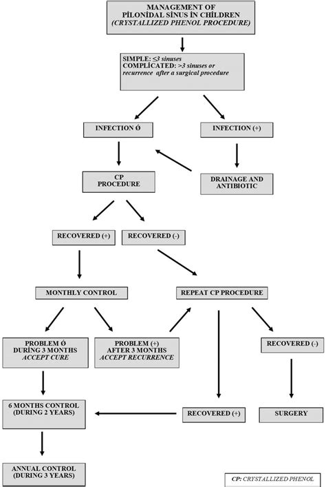 Treatment Algorithm Of Crystallized Phenol Procedure In Pilonidal Sinus