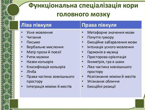 Презентация на тему Функціональна асиметрія кори великих півкуль головного мозку