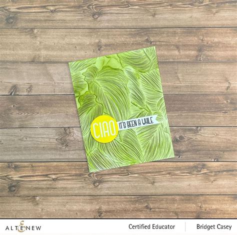 Altenew Hosta 3d Embossing Folder And Stencil Bundle
