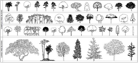 Tree Layout 64 Photo