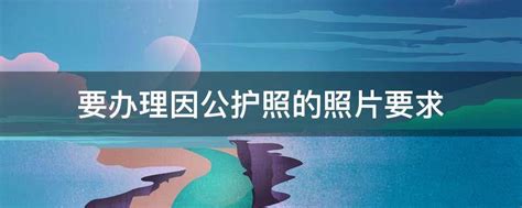 要办理因公护照的照片要求 业百科