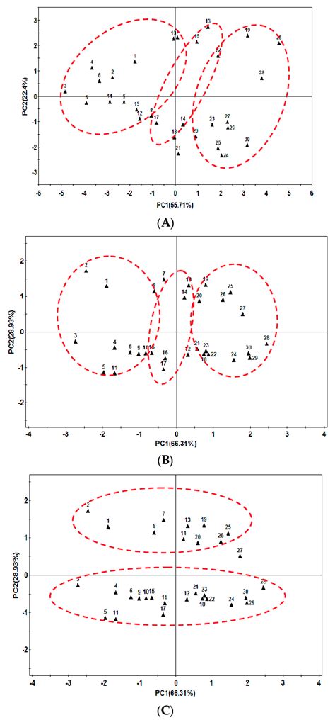 Hplc Principal Component Analysis Pca Of Panax Ginseng Root A Download Scientific Diagram