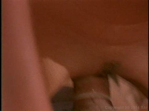 Pinup The Vivid Adult Dvd Empire