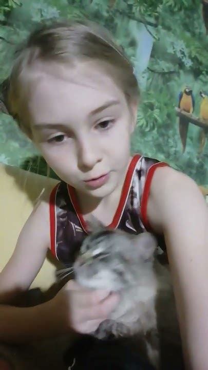 мой добрый кот Youtube