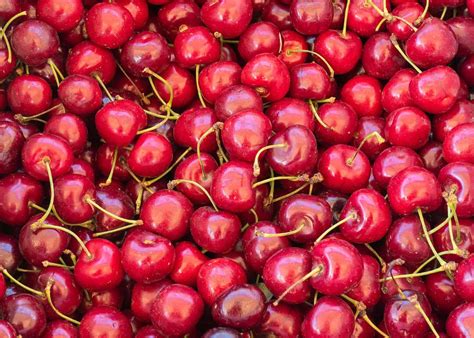 10 Types Of Cherry Trees Dive Into The World Of Sweet And