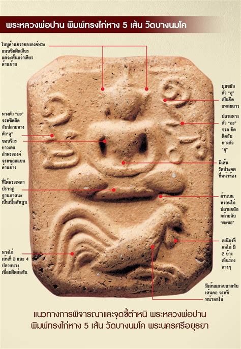 วิธีดูเหรียญหลวงพ่อทวด รุ่น 3 ปี 2504 พิมพ์ที่ 24 พิมพ์ พ ขีด จีวร 6 ชาย Artofit