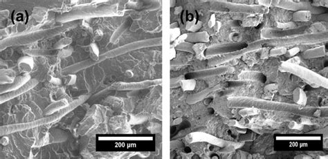 Sem Micrographs Of Tensile Fractured Cross Sections A Pp Wool 30 Wt