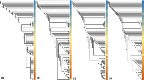 tree results of ceratopsia a equal weighting b implied weighting