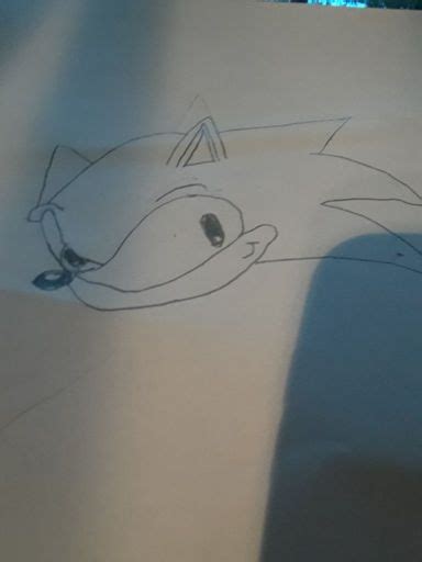 Sonics Head Sonic The Hedgehog Amino
