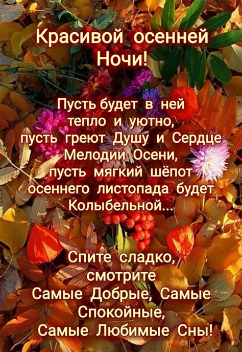 Красивой ночи Автор Елега