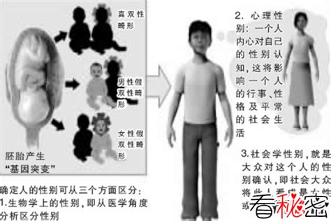 雌雄难辨的两性人，拥有两套生殖器官 胚胎发育畸形 看秘密