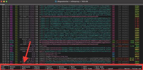 Mitmproxy The Complete Handbook RapidSeedbox