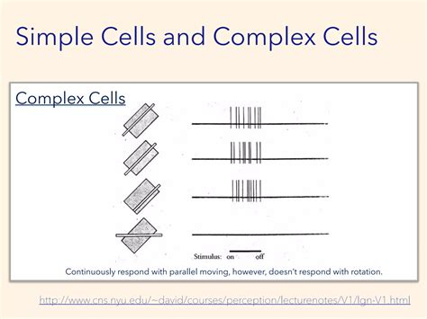 deep learning chap 6 convolutional neural net pdf