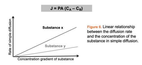Simple Diffusion Graph