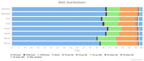 Rnaseq Output