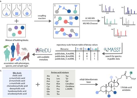 Figure 1 From A Synthesis Based Reverse Metabolomics Approach For The Discovery Of Chemical
